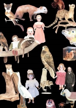 Allison Hrabluik: Letter to the Editor | Contemporary Art Gallery